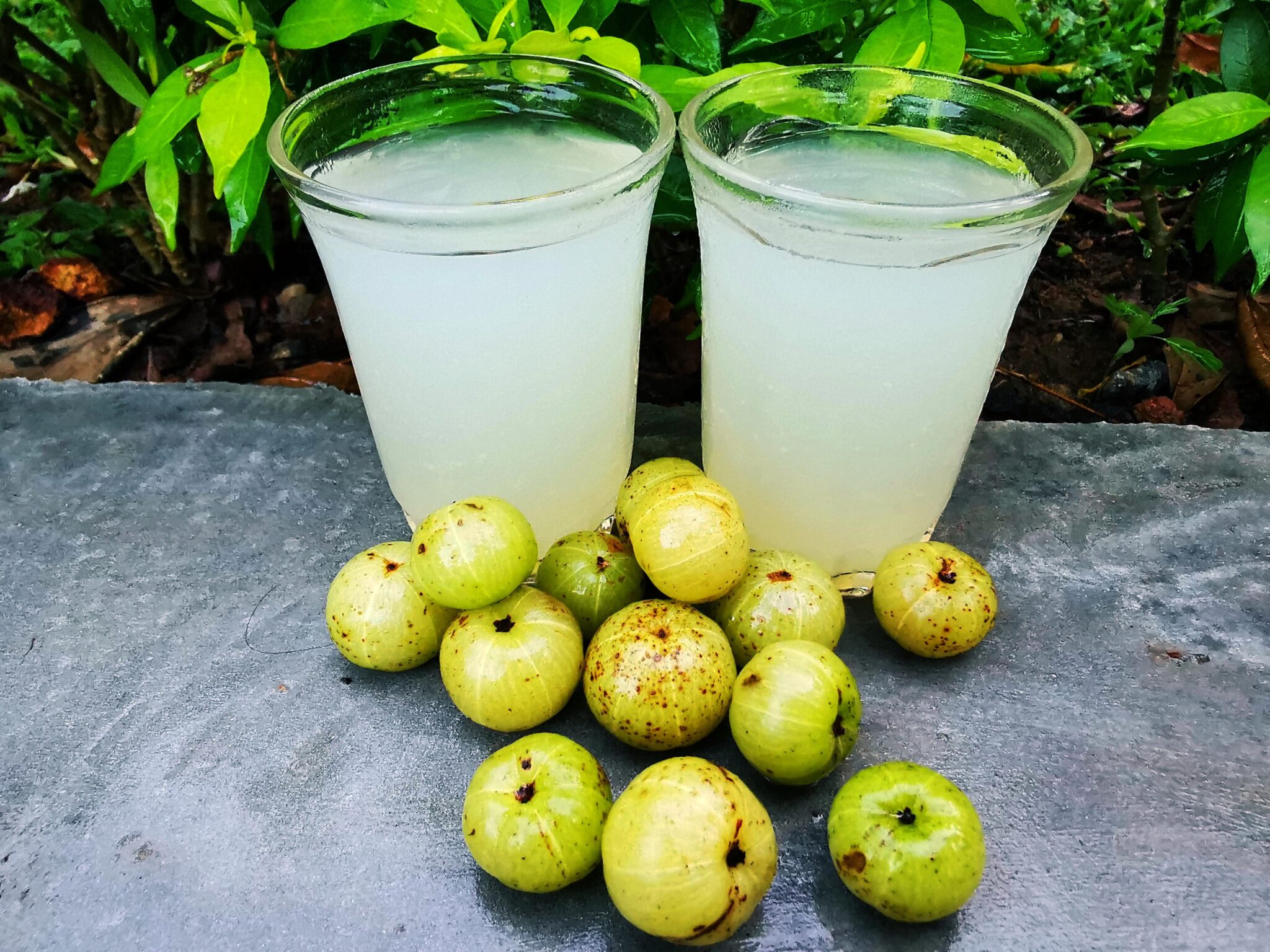 6 Health Benefits of Amla: The Power House Of Nutrition